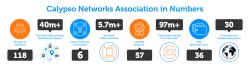 Calypso Networks Association